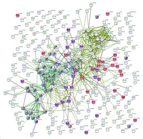 String Analysis Of The Degs That Were Significantly Up Regulated P