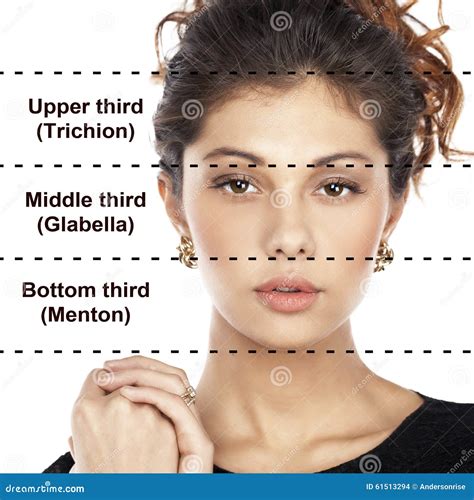 Perfect Face Proportions