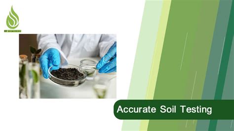 How To Effectively Sample Agricultural Soil For Accurate Soil Testing