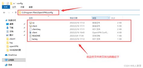 安装openvpn客户端并设置开机自启动 Csdn博客