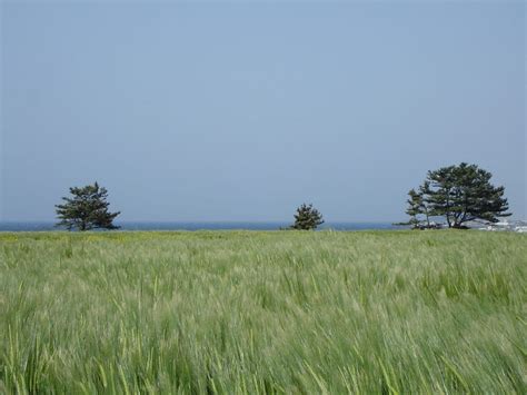 The Crito “i Would Have You Consider Crito… By Will Liam Medium