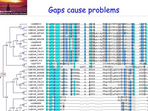 Ppt Multiple Sequence Alignment Msa Powerpoint Presentation Free