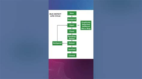 Bug Defect Lifecycle Softwaretesting Softwaretestengineer Buglifecycle Youtube