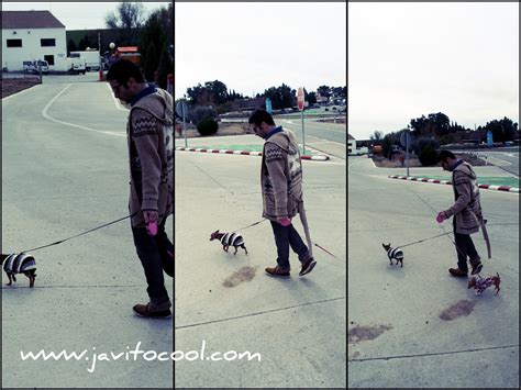 Javitoandcool Moda Masculina Otoño Invierno Con Punto