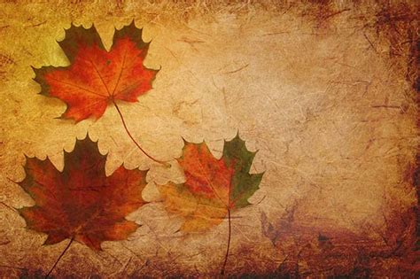 명언머리 위에는 별이 반짝이는 하늘 내 마음에는 도덕률 칸트i Kant Eboss 명언