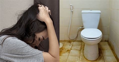 여자 설사 트위터 웃픈 현실과 공감의 공간