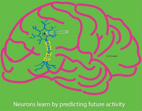 Muhammad Faizan Posted On Linkedin