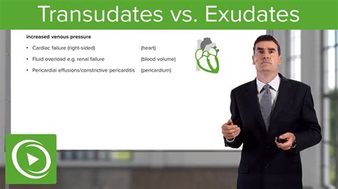 Transudates Vs Exudates Pleural Disease Lecturio Youtube