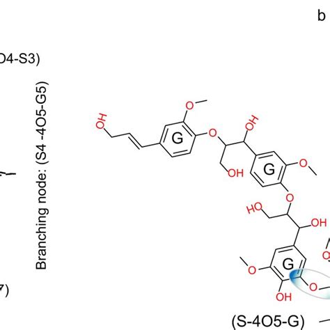 Representation Of Branched Chain Structures A Graph Based Encoding Download Scientific