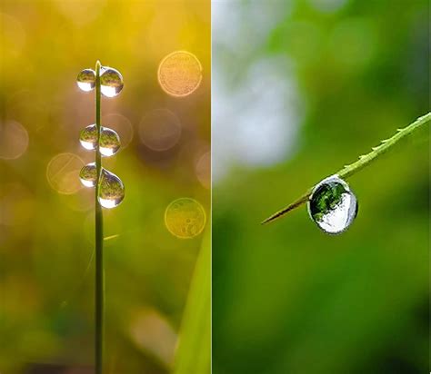 아름다운 반발 여러모로 신비한 성질을 지닌 물 그 중에서도 우리는 표면장력을 잘 알고 있다 영롱한 물방울은 표면장력으로 생긴 흐르는 강물처럼 Band Page