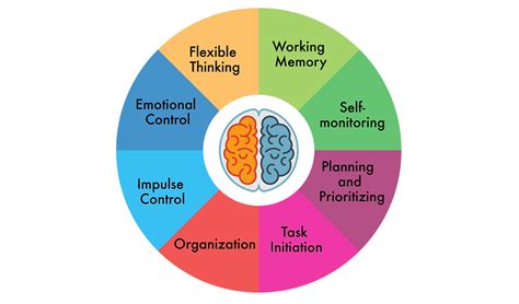 Executive Functions And Coaching