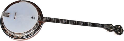 Why Are Banjos So Expensive Bailey And Banjo