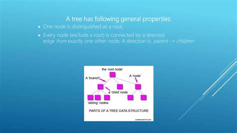 Presentation On Data Structure Pptx