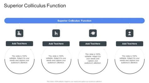 Superior Colliculus Function Powerpoint Templates Slides And Graphics