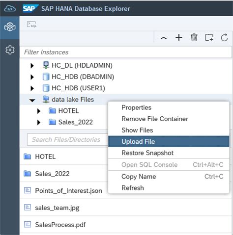 Export And Import Data And Schema With SAP HANA Database Explorer SAP Tutorials