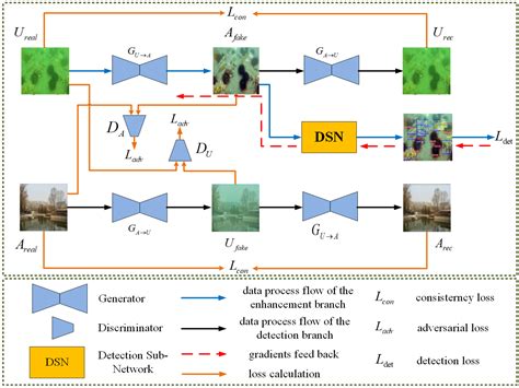 Bg Yolo A Bidirectional Guided Method For Underwater Object Detection
