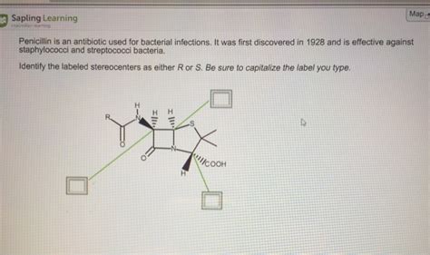 Solved Map Sapling Learning Penicillin Is An Antibiotic U