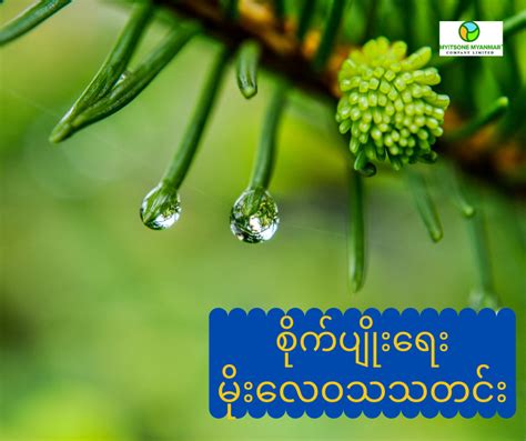 Myit Sone Myanmar Co Ltd စိုက်ပျိုးရေး မိုးလေဝသခန့်မှန်းချက် ဇွန်လ