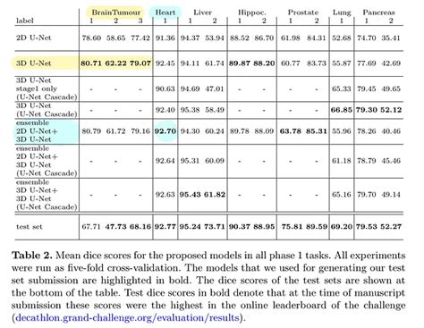 ‘nnu Net终极指南 小猪ai