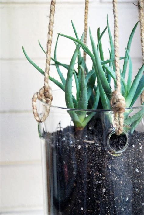 60 Best Glass Planters Images On Pinterest Container Plants Glass