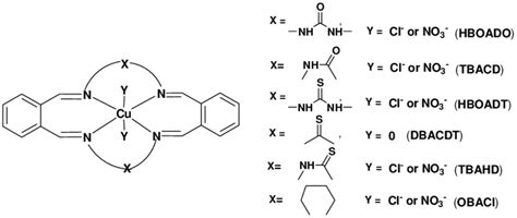 Scheme 1 Representative Structures Of Copper Complex Download Scientific Diagram