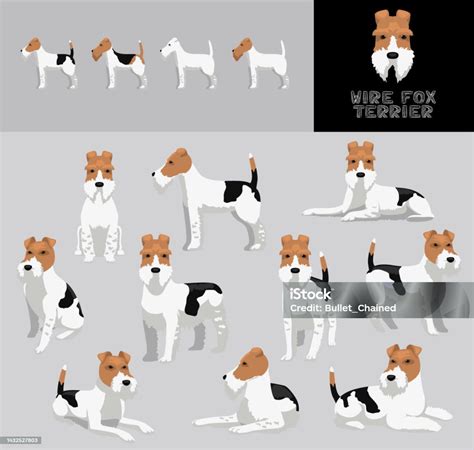 개 와이어 폭스 테리어 만화 벡터 일러스트 레이 션 색상 변형 세트 개에 대한 스톡 벡터 아트 및 기타 이미지 개 테리어