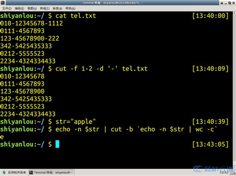 Linux操作7cut Paste Tr 蓝桥云课