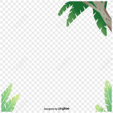녹색 수목 코코넛 일러스트 잎 장식 식물 가지와 잎 Png 일러스트 무료 다운로드 Lovepik