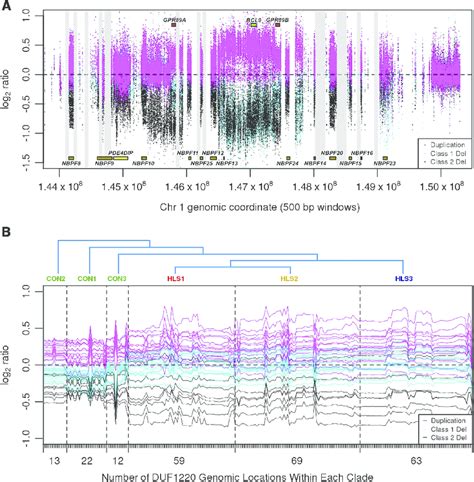Acgh Data For Three Types Of Disease Samples Class I Duplications Are