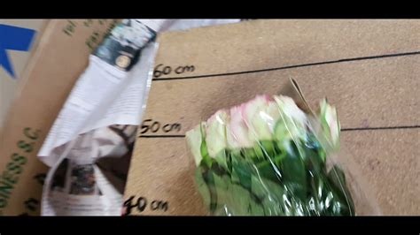 러블리쥬얼 수입장미 생화 인터넷꽃도매시장 생화택배 생화도매 인터넷꽃시장 인터넷꽃도매 장미대량구매 꽃 꽃다발 꽃도매 꽃시장 부산꽃시장 김해꽃시장 꽃쇼핑몰 김해꽃 부산꽃