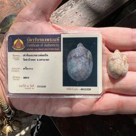 พญาเต่าเรือนหลวงพ่อสนิท ถูกที่สุด พร้อมโปรโมชั่น พ ค 2025 Biggoเช็คราคาง่ายๆ