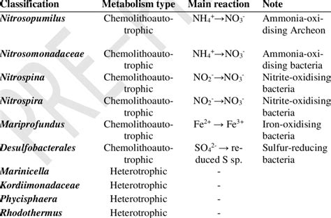 2 6 Summary Of The Most Abundant Microorganisms And Their Main Func Download Scientific