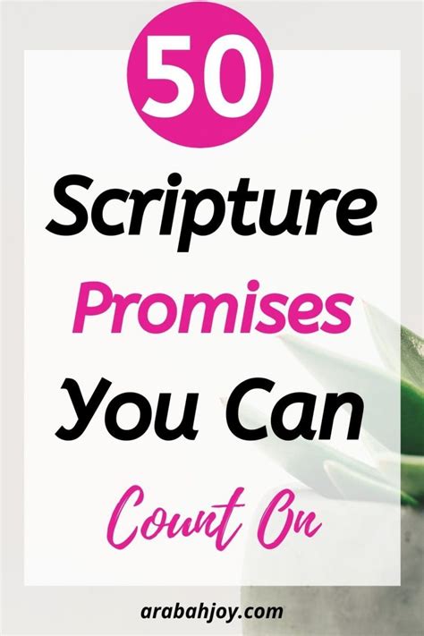 Promises Of God In Scripture 50 Scripture Promises You Can Count On