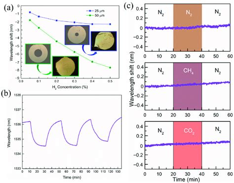 Other Factors Considered In The Design Of The H2 Sensors A