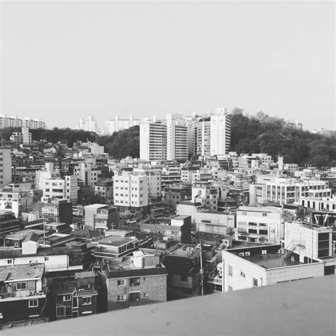 유발 하라리 사피엔스 책 네이버 블로그