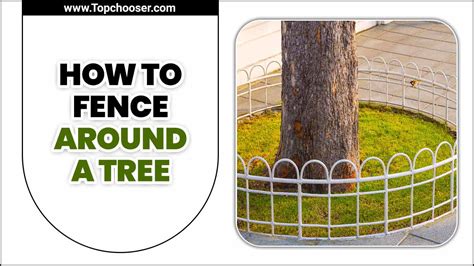 How To Fence Around A Tree The Basics