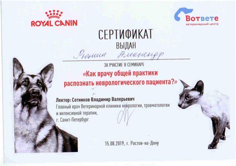 Рюмин Александр Анатольевич ветеринарный врач хирург травматолог Наш коллектив «Доктор