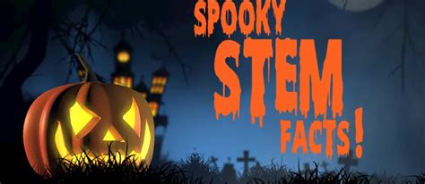 Spooky Stem Facts Stem Education Works