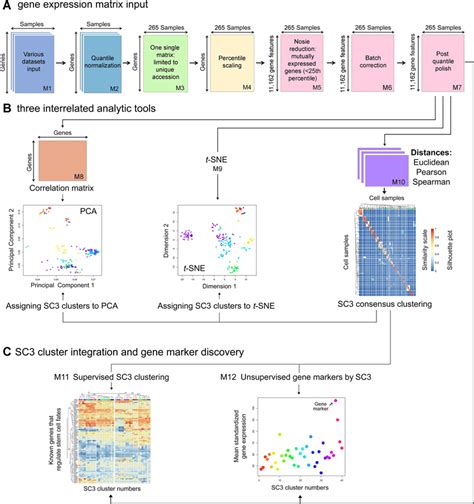 Scheme Of A Multivariate Meta Analysis The Meta Analysis Platform