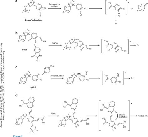 Figure 5 From Development And Applications Of Bioluminescent And Chemiluminescent Reporters And