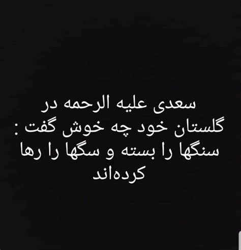 واکنش سخنگوی دولت به محدودیت اینستاگرام در انتشار تصاویر شهید سپهبد سلیمانی با جمله ای از سعدی