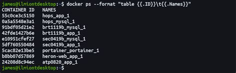 How To Use Docker Cp To Copy Files Between Host And Containers