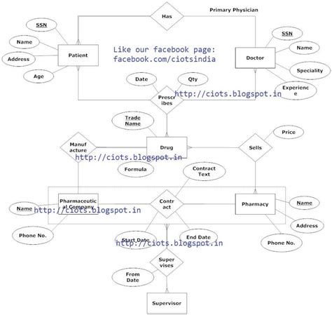 Exploring Er Diagram Examples In Real World Scenarios