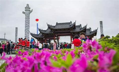 驚蟄已至蒼南這些地方將花開成海 每日頭條