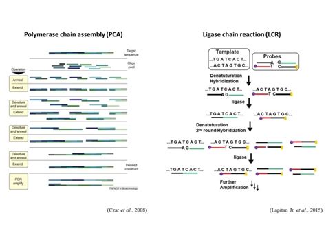 源資國際生物科技