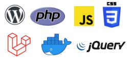 How To Manually Update NoIP IP Custom Dynamic DNS Update Client DUC Artistudio