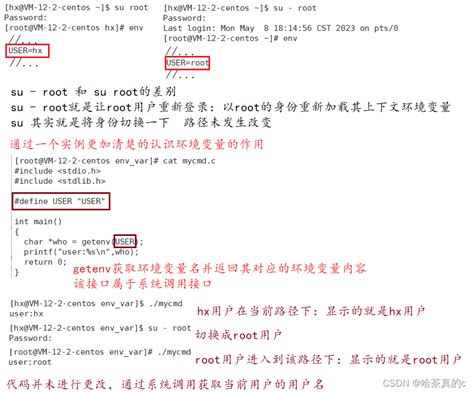 【linux】8 环境变量 linux子系统继承本来环境变量 csdn博客