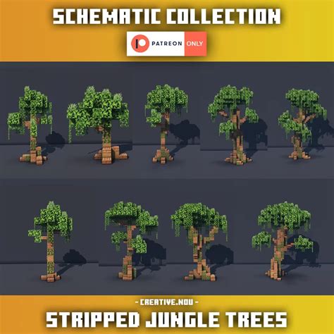 Stripped Jungle Trees Schematic Collection Minecraft Map
