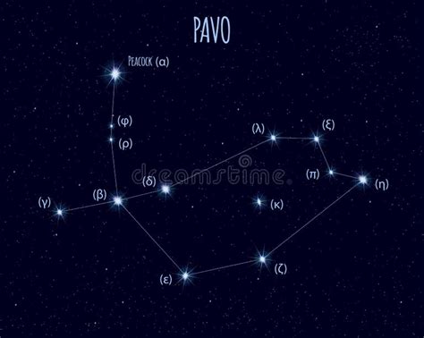 Pavo Peacock Star Stock Illustrations 25 Pavo Peacock Star Stock