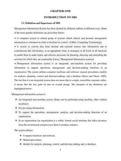Chapter 1 Mis Pdf